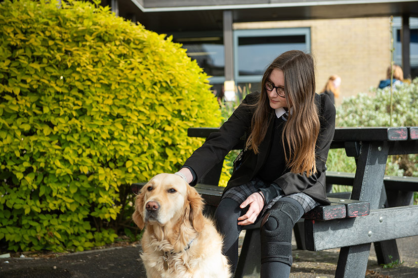 CFVI Resource Hub - RNIB Bookshare